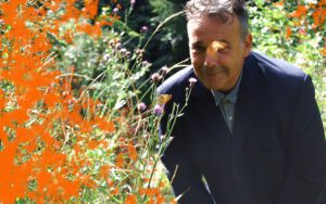 What’s on - The Witham